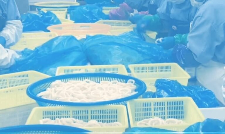 Squid Processing Machine - YUKE