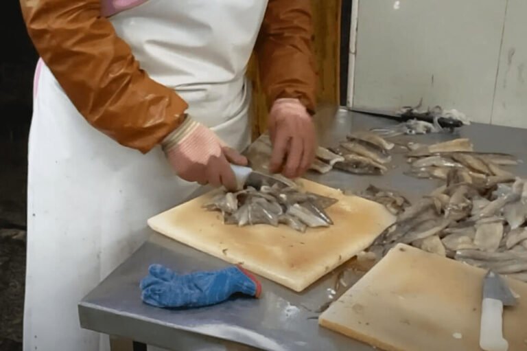 Squid Processing Machine - YUKE