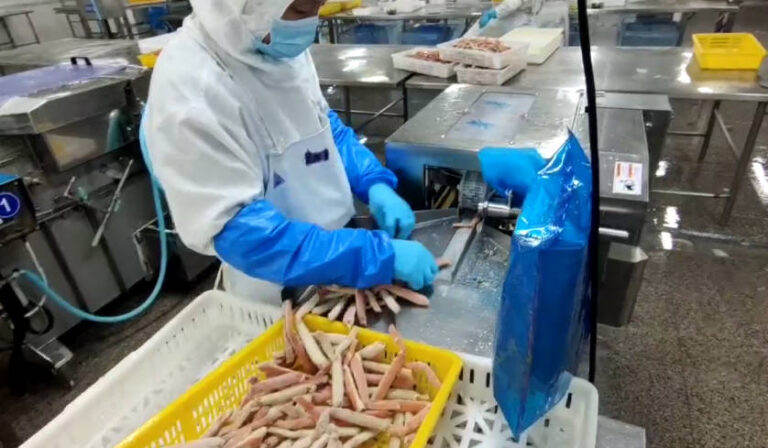 Crab Processing Machine - YUKE - Fish Processing Machine Manufacturer