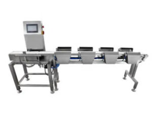 Fish Grading Machine - YUKE - Fish Processing Machine Manufacturer